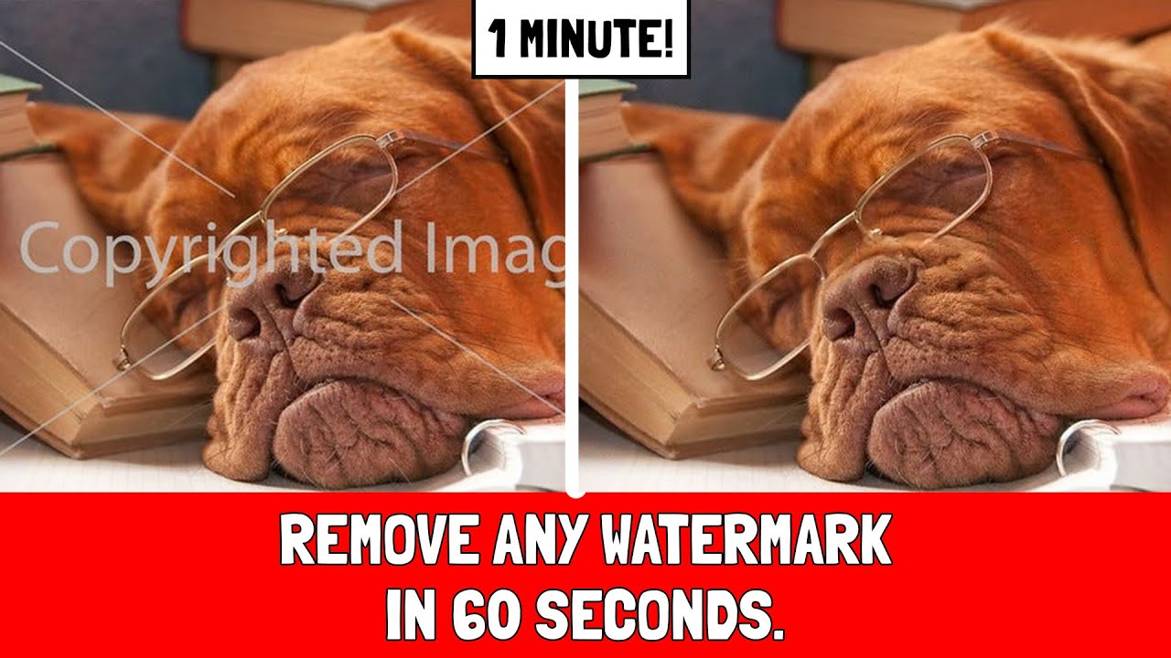 How To Remove ANY Watermark For Free With This FREE AI Tool - Curtis ...