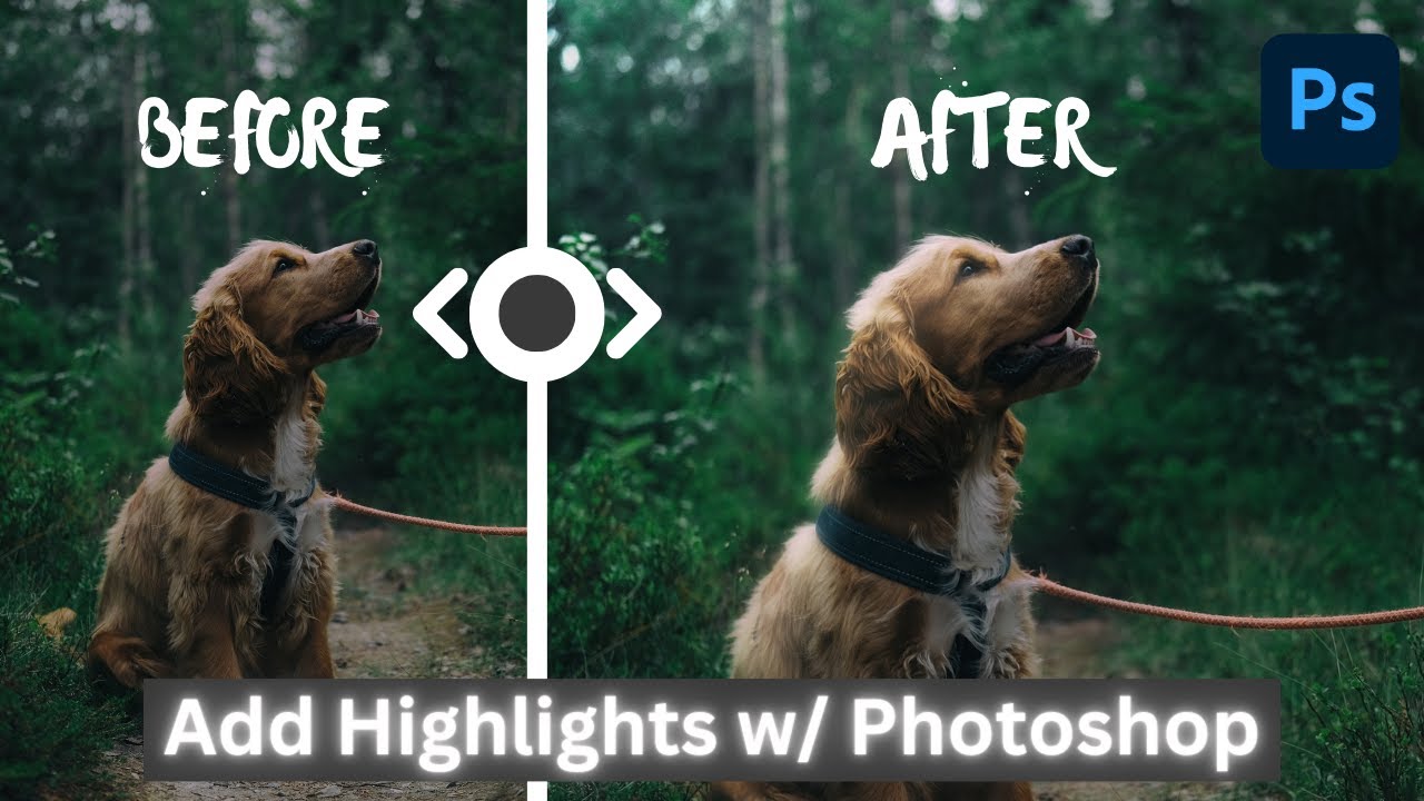 How To Add Highlights To Any Subject (Or Object) - Photoshop - Detailed ...